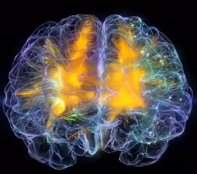 A Beautiful Visualization of Electrical Action in the Brain ...