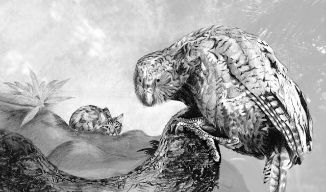 "Killer" Cats? | Psychology Today