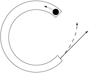 How We Can Catch a Ball When We Don't Know Where It Will Be ...