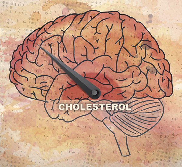 Low Brain Cholesterol: Separating Fact From Fiction | Psychology Today UK