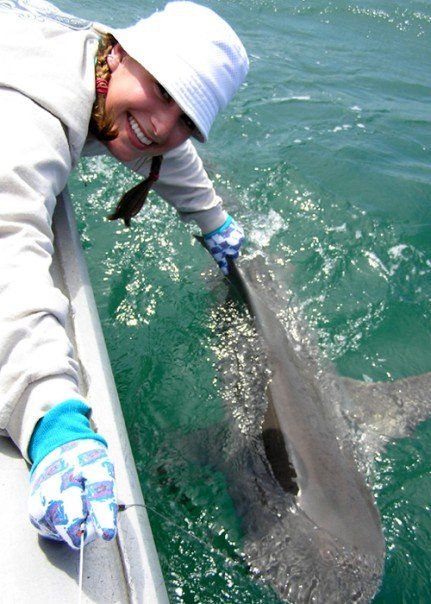 Shark Attacks: Myths, Misunderstandings, and Human Fear | Psychology Today