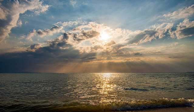 Three Reasons to Embrace a Darwinian Worldview | Psychology Today