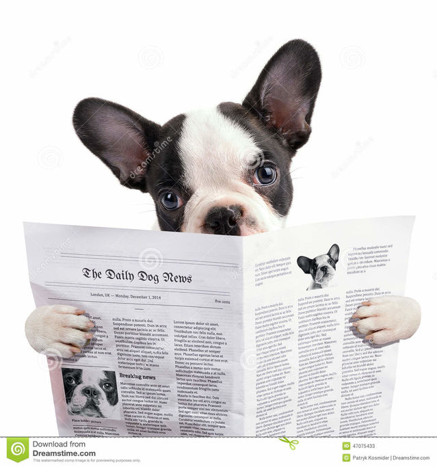 Seeing Species: A New Book Looks at Animals in Media | Psychology Today