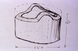 Can Dogs Make and Use Tools? | Psychology Today UK