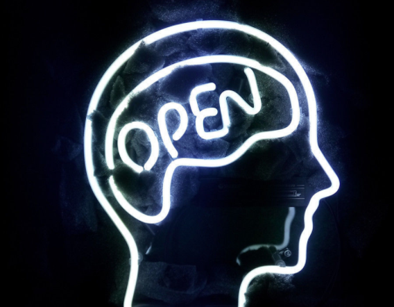 Facts About Minority Opinion vs. Majority Rule | Psychology Today UK