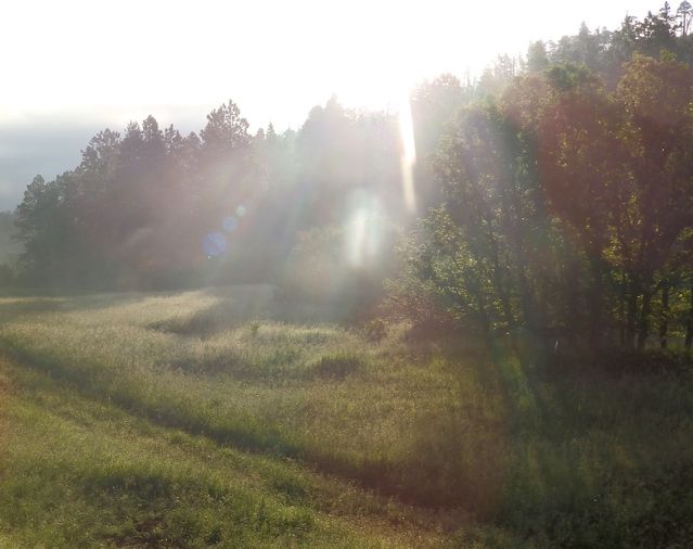 The Solace of Nature | Psychology Today