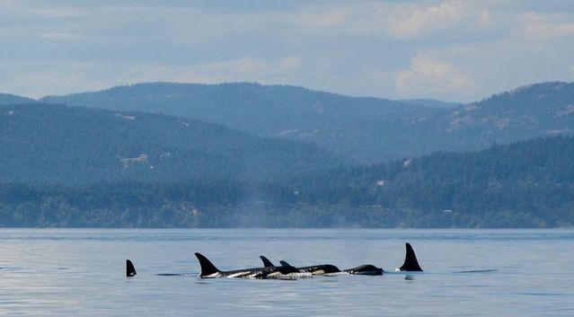 "Two Is Enough" To Make a World of Difference | Psychology Today