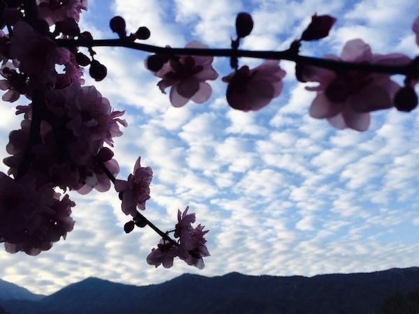 The Coexistence of Stillness and Motion | Psychology Today