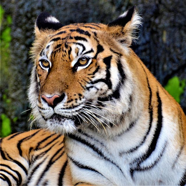 How We Intimidate Others Without Realizing It | Psychology Today New ...