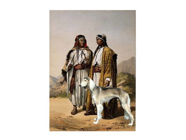 Why Is Iran Oppressing Pet Dogs and Their Owners? | Psychology Today Canada