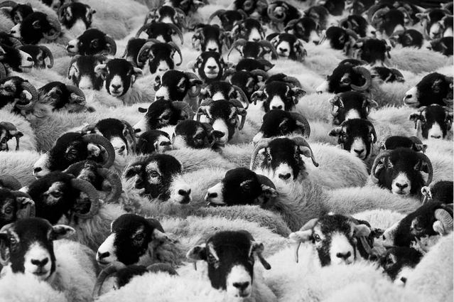 The Psychology of "Othering" | Psychology Today