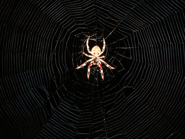 The "Intellectual Dark Web" and the Simplest of Ethics | Psychology Today