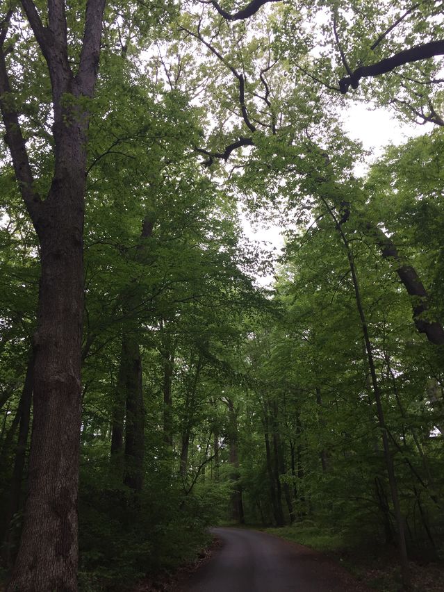 Finding Your Way on the Path of Illness | Psychology Today