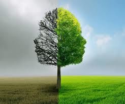 Bipolar Disorder Explained | Psychology Today Canada