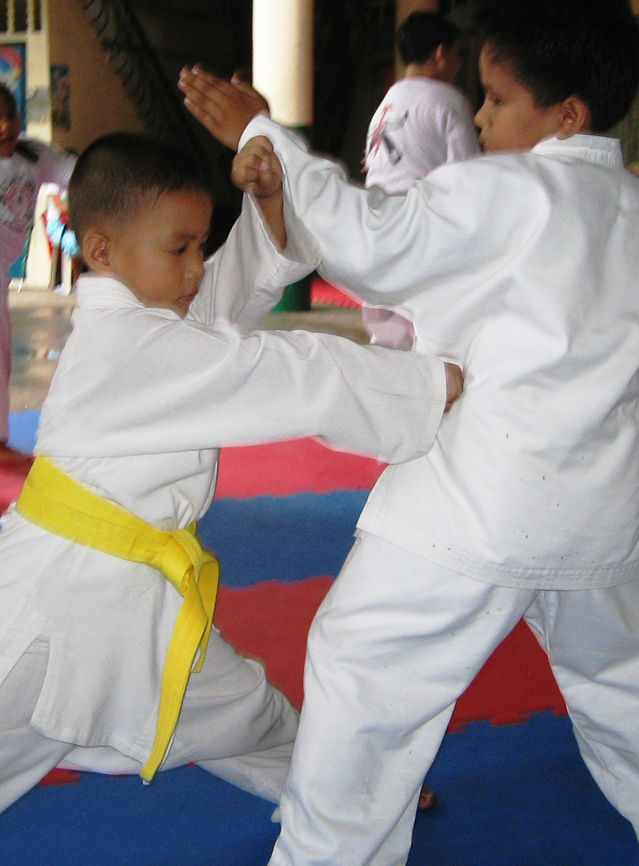 Martial Arts and Executive Function on the Autism Spectrum | Psychology ...