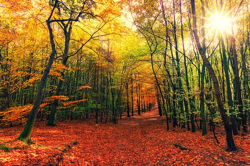 Quick Tips to Brighten Your Autumn | Psychology Today