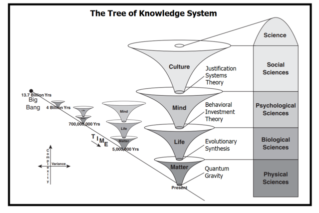 The Four Dimensions of Existence Mapped by Science | Psychology Today UK