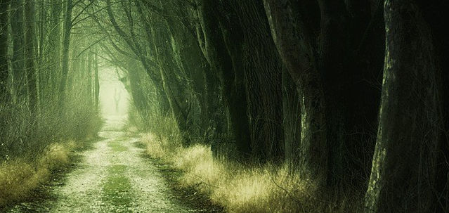 How Should I Deal with Nightmares & Night Terrors? | Psychology Today