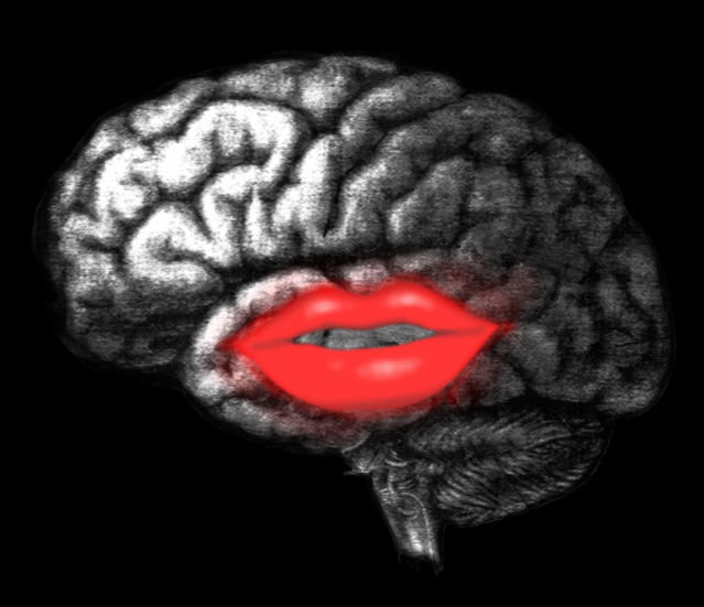 Your Sexiest Brain Bits | Psychology Today