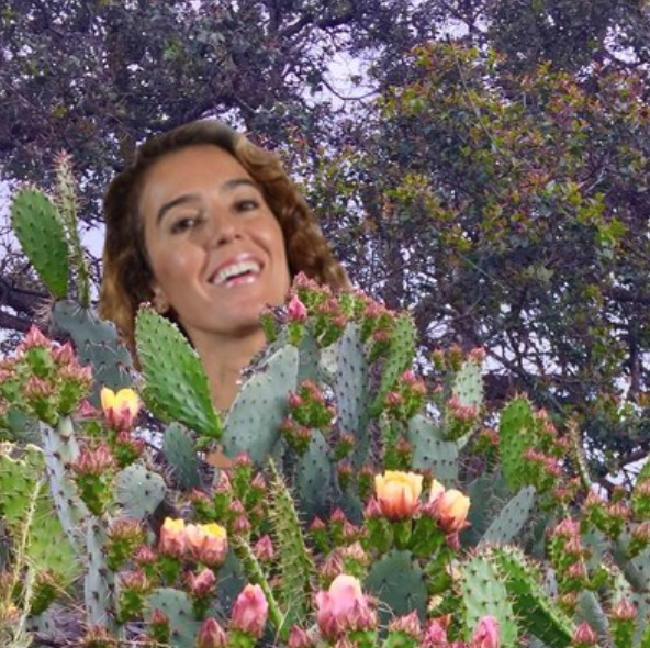 Surviving vs. Thriving | Psychology Today