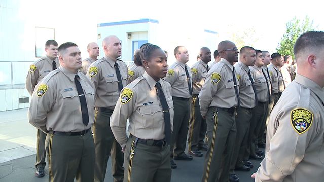 Paired for Success in Changing the Culture of Corrections: | Psychology ...