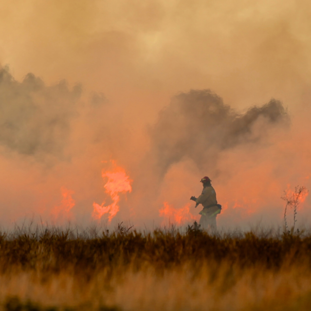 Instructions for Living in a World on Fire | Psychology Today