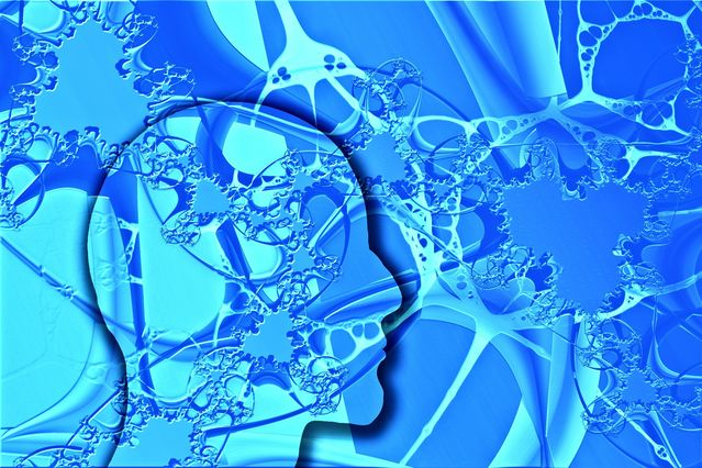 Finding the Brain Circuits Behind Mood and Anxiety Disorders ...