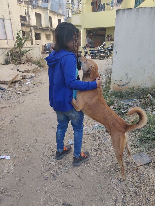 Changing Behaviour of India's Street Dogs During Lockdown | Psychology ...