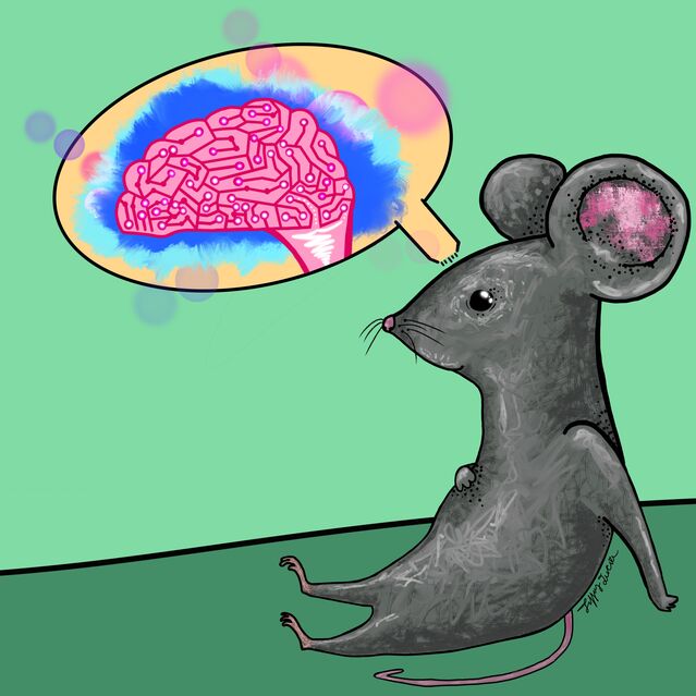 Neurons, the Brain’s Chatter Bugs | Psychology Today Canada