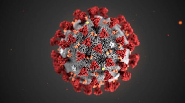 It's Hard to Fear Virus That Looks Like a Bouquet of Flowers ...