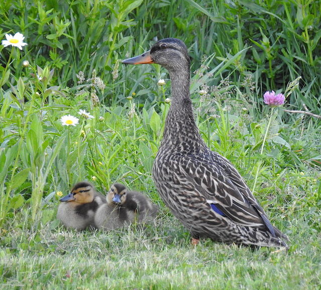 What Makes Us Crack | Psychology Today