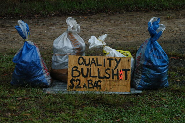 The Psychology of Bullshit | Psychology Today Canada