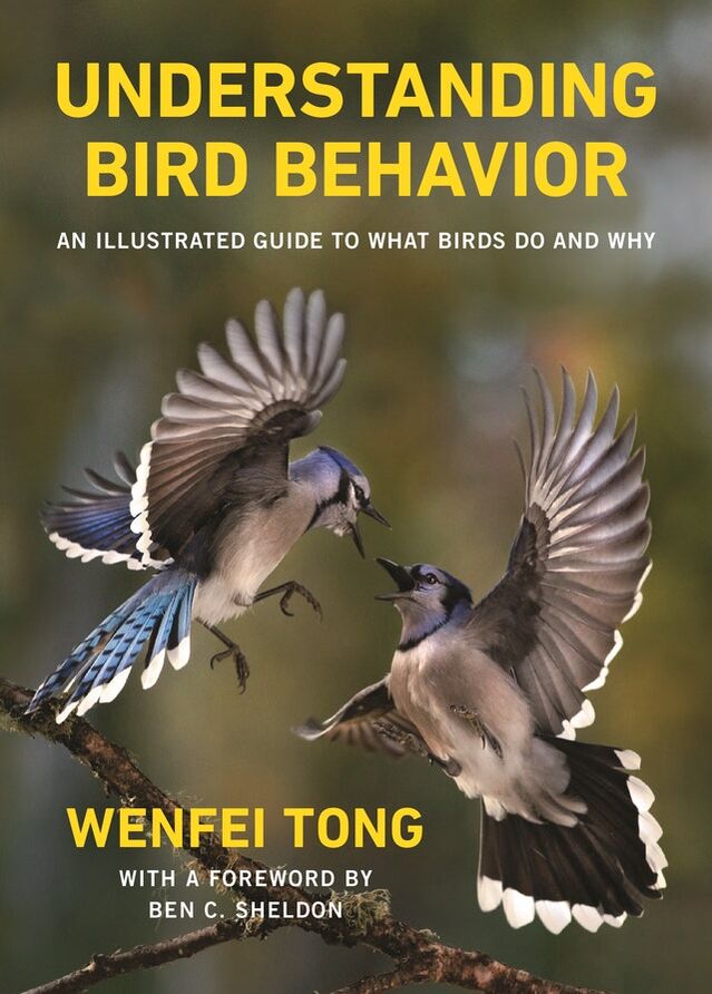 Engaging Vignettes About the Private Lives of Birds | Psychology Today