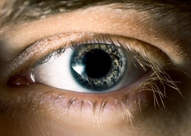 When Is the Size of Someone’s Pupils Like a Crystal Ball? | Psychology ...