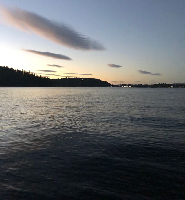 The Isolation Project | Psychology Today