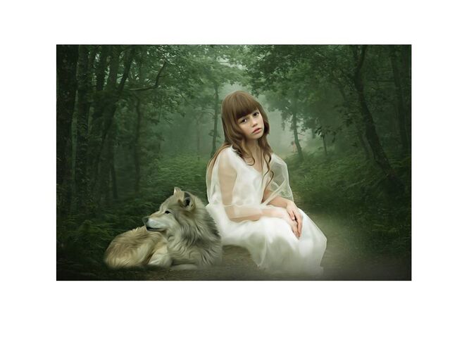 Can Wolves Be Made as Controllable and Manageable as Dogs? | Psychology ...
