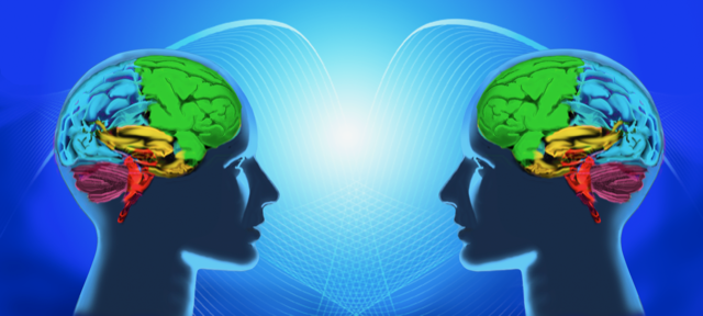How Does the Brain Manage Socioeconomic Diversity? | Psychology Today ...