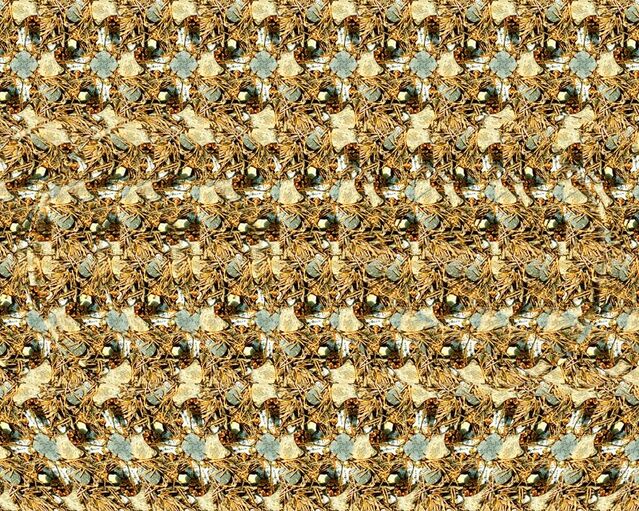 Do You See the Hidden Image? | Psychology Today Canada