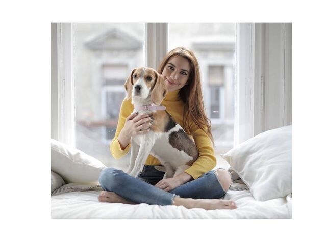 Is Your Dog Really Helping You Make It Through the Pandemic ...