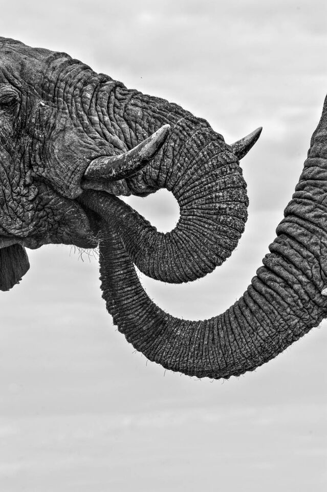 Gifting: It's Surprisingly Good for Both Giver and Receiver ...