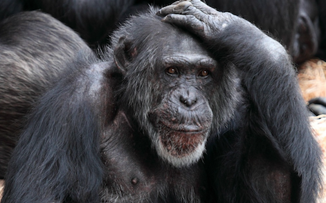 How to Be a Lone Genius | Psychology Today