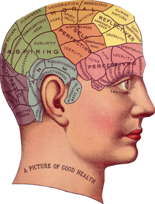 New Connections | Psychology Today