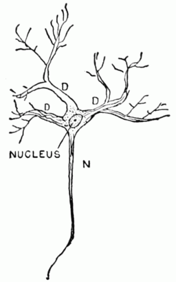 Is ADHD Genetic? | Psychology Today Australia