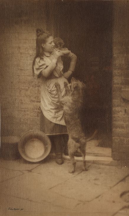 Jealousy In Animals and Envy in Humans | Psychology Today