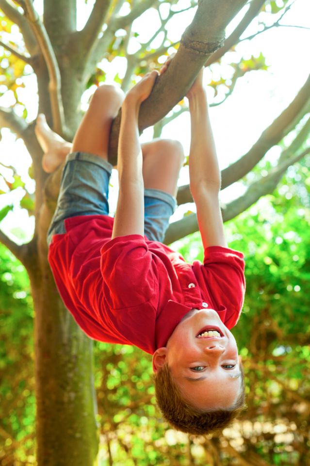 Want to Improve Your Cognitive Abilities? Go Climb a Tree! | Psychology ...