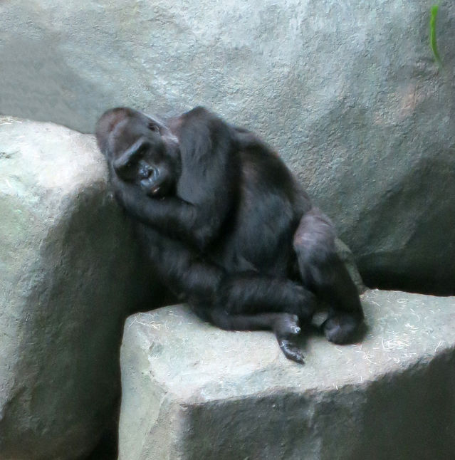 Letting Go of Work-Related Stress | Psychology Today Canada