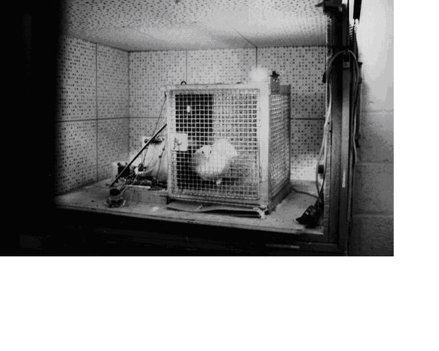 Size Matters | Psychology Today