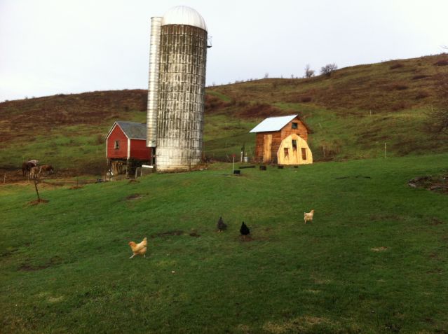 Ten Years of Rural Life | Psychology Today