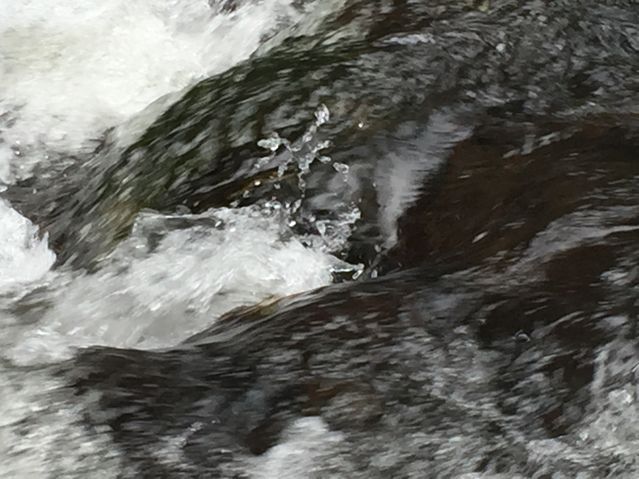 The Technology of Dreaming in "Falling Water" | Psychology Today