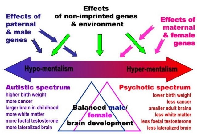 Testing the “Extreme Female Brain” Theory of Psychosis | Psychology Today